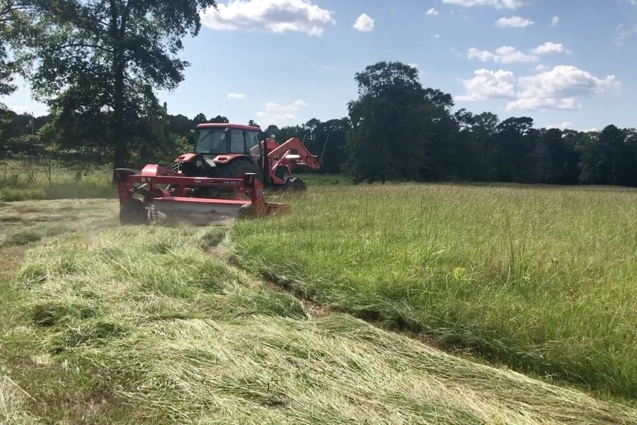 Arkansas Farm Bureau