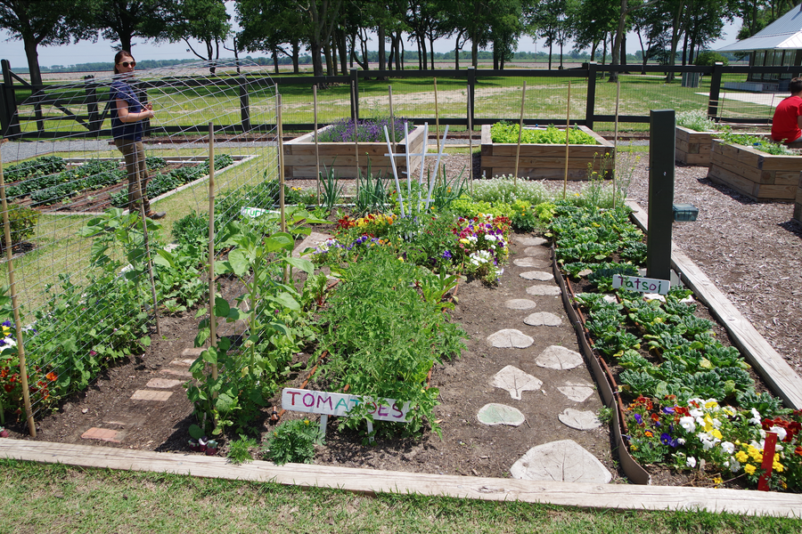 Arkansas Agriculture | Arkansas Farm Bureau